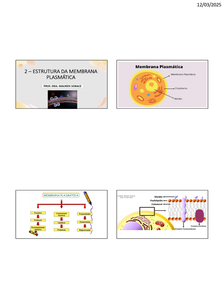 Estrutura Da Membrana Plasmatica | PDF | Osmose | Membrana celular