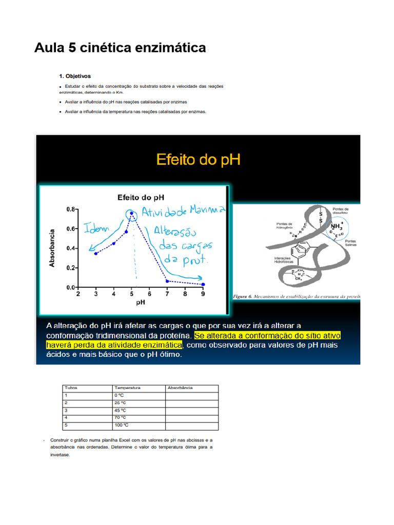 Aula 5 Cinética Enzimática | PDF
