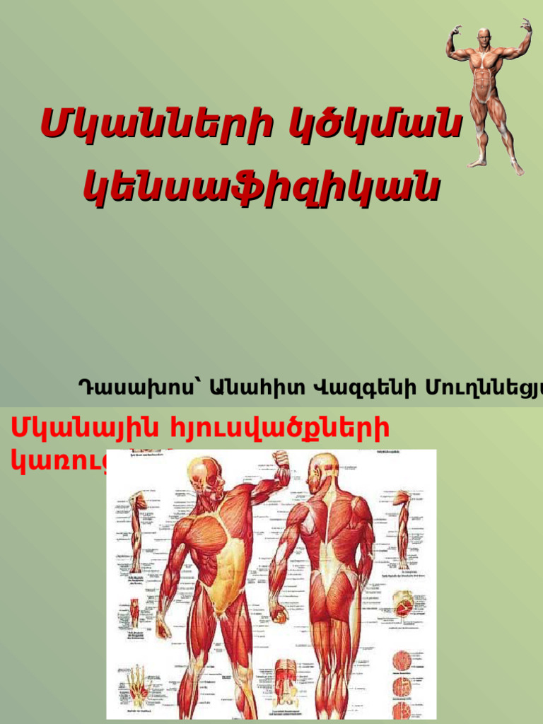 BioPhysics - Lekcia - 3 - Muscle's Physics | PDF