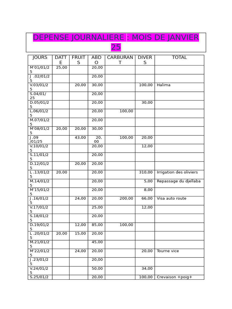Depense Journaliere 2 | PDF