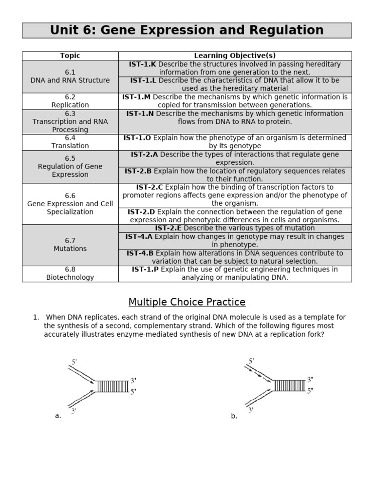 Unit 6 Multiple Choice Practice | PDF | Operon | Repressor
