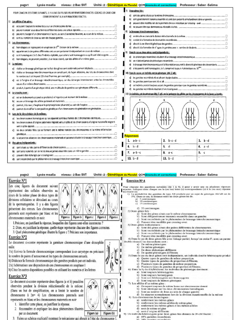 QCM Génétique de Mendel - Bac SVT | PDF