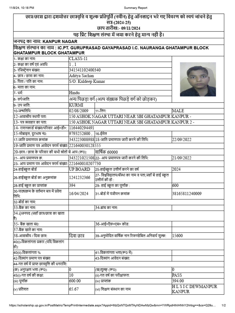 Summary Report | PDF