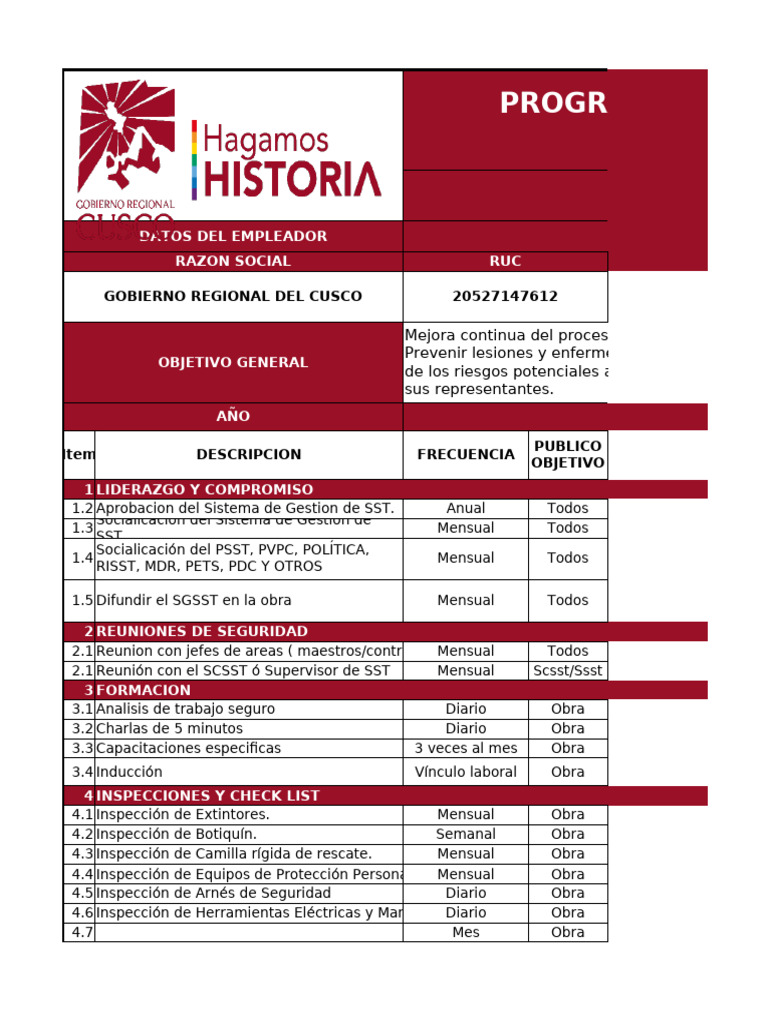 PROGRAMA MENSUAL DE ACTIVIDADES | PDF | Cuidado de la salud | Salud pública