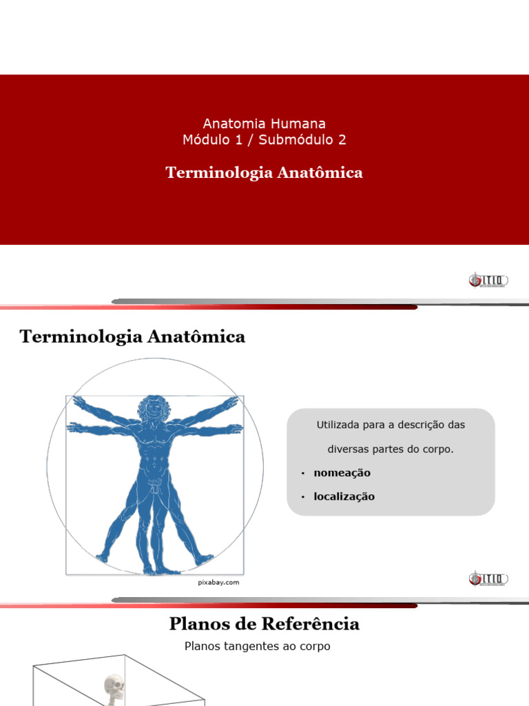 2 - Terminologia Anatômica | PDF | Corpo humano | Anatomia