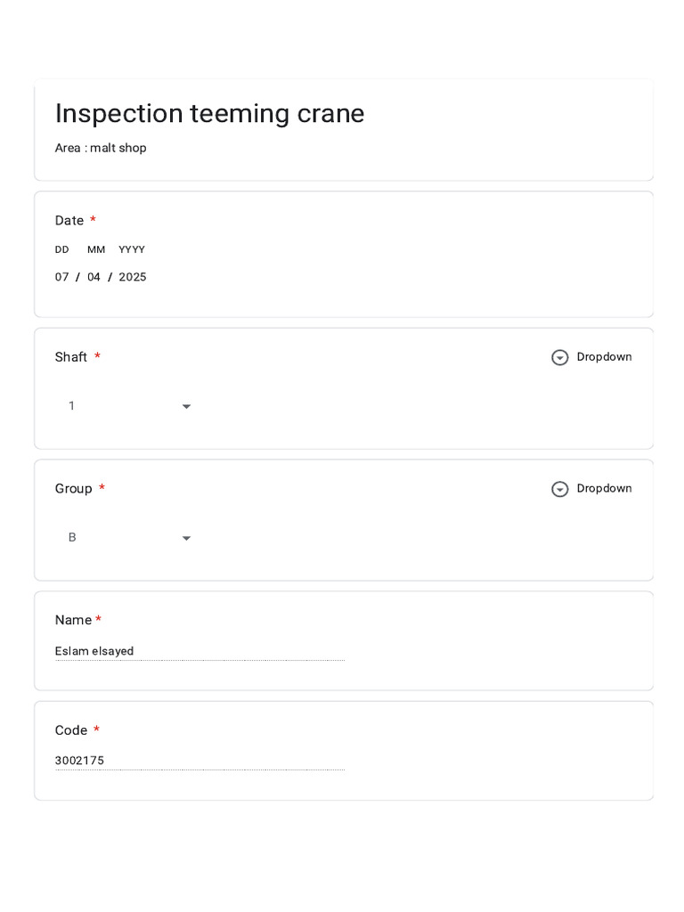 Inspection Teeming Crane 1 | PDF