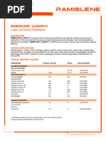 Ramapet S1: PT. Indorama Polypet Indonesia | PDF | Materials | Chemistry
