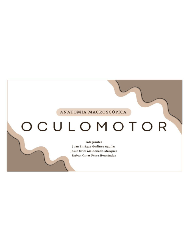 Oculomotor | PDF