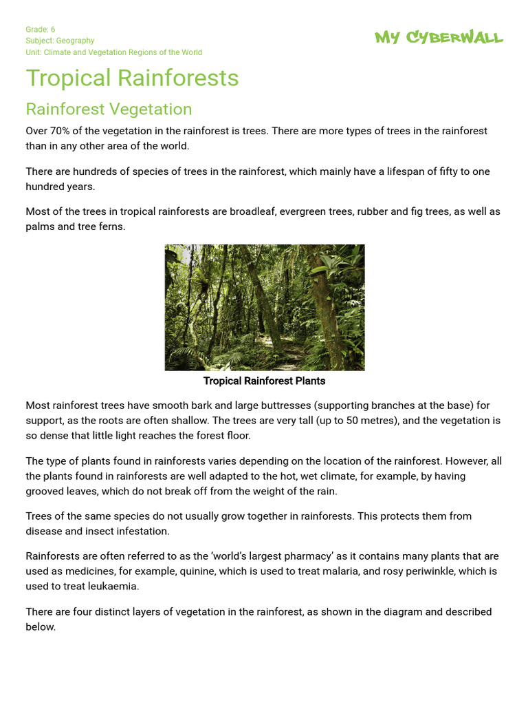 Tropical Rainforests | PDF