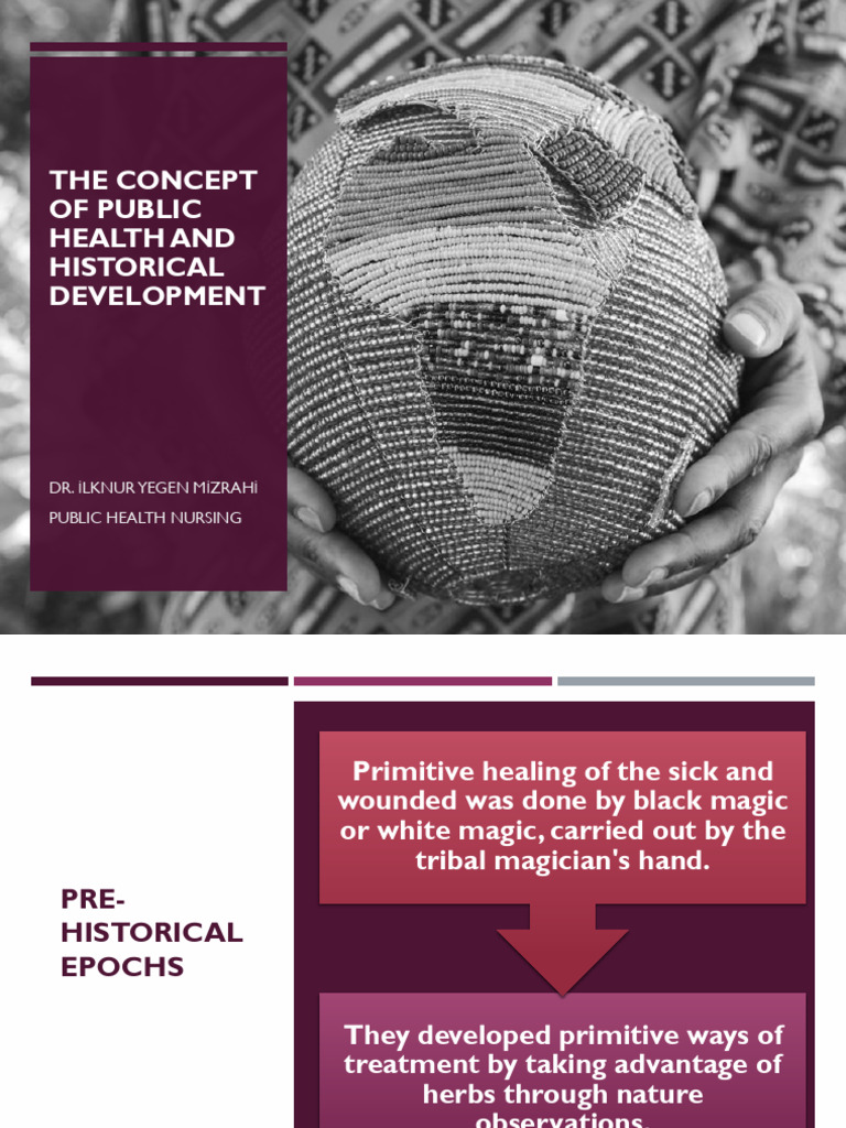 Historical Development of Public Health | PDF | Public Health | Infection