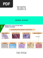 CAFE ANATOMIA Tema 03 Teixit Connectiu (I) | PDF