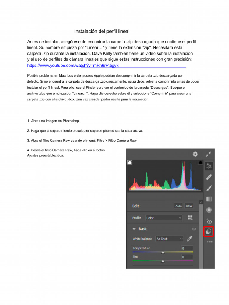 Instalación y uso de perfil lineal RAW | PDF | Formato de imagen sin ...