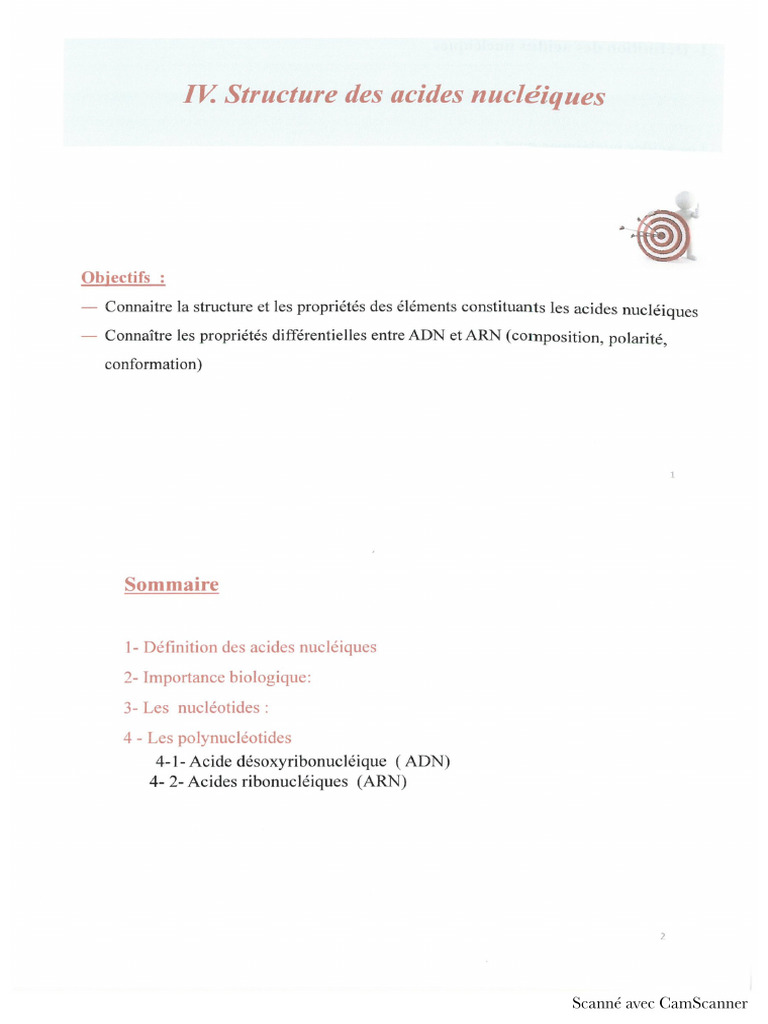 Cours Biochimie Structurale Les Acides Nucléiques - PR - MGUIL - 24 ...