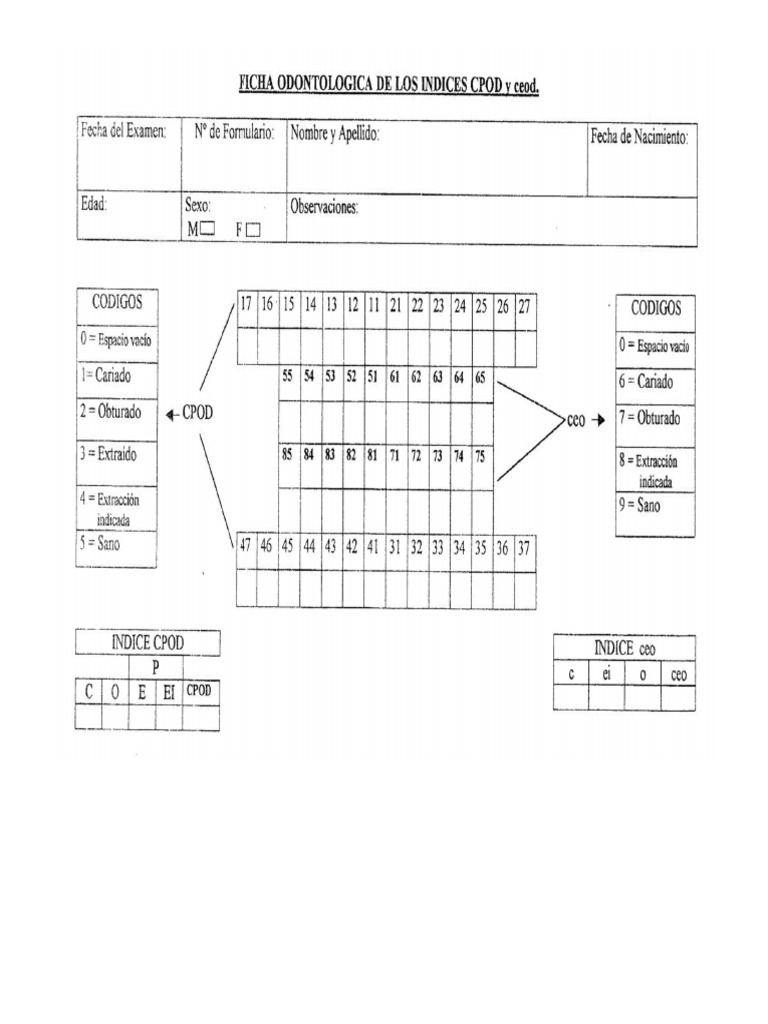Formato Cpod Ceod | PDF