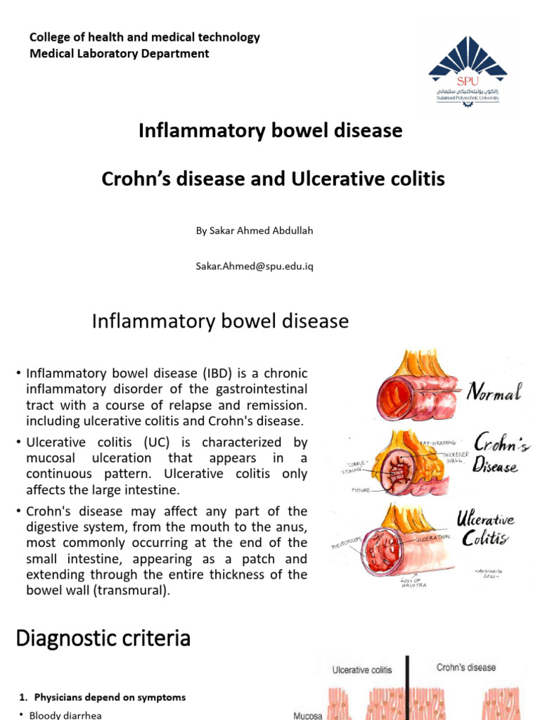 Lab3 Inflammatory Bowel Disease-Chromatography | PDF | Ulcerative Colitis | Crohn's Disease