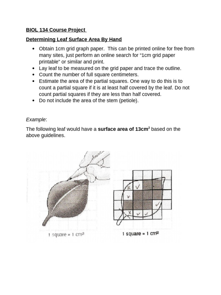 Determining Leaf Surface Area by Hand | PDF