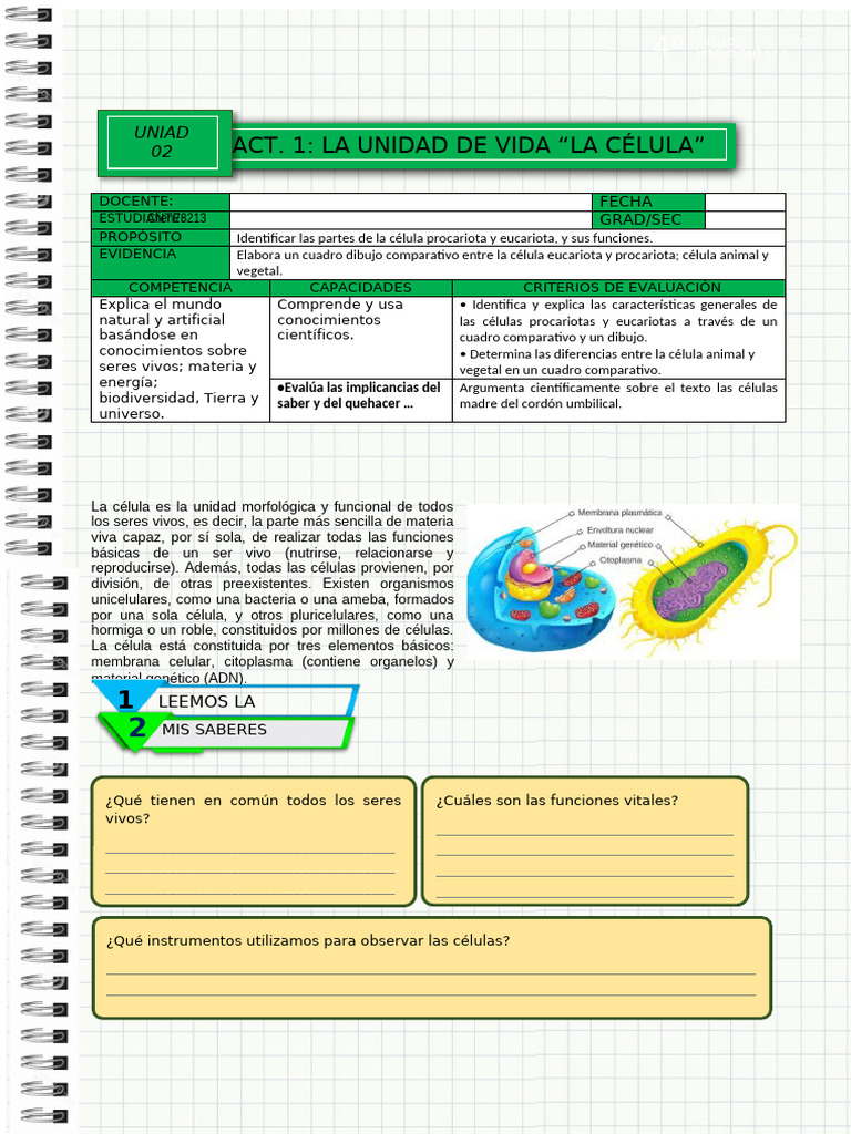 A-4º ACT 1-CYT-UND 2- SEM 1 | PDF | Biología Celular) | Eucariotas