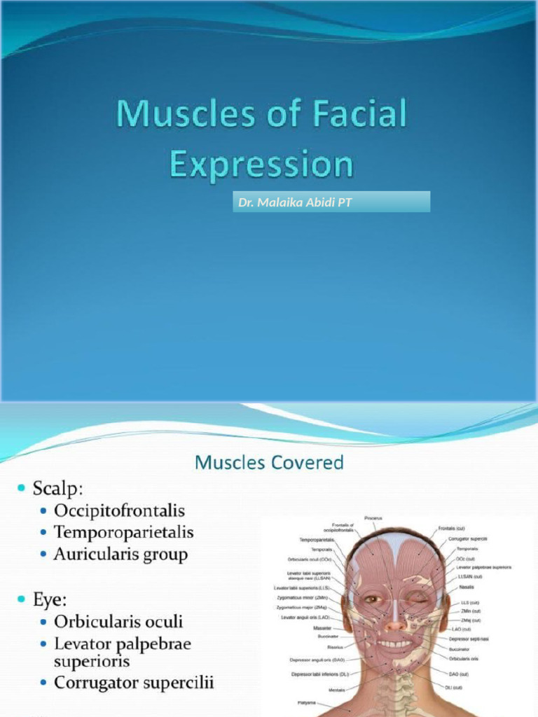 Muscles of Facial Expression - 20250512 - 005041 | PDF