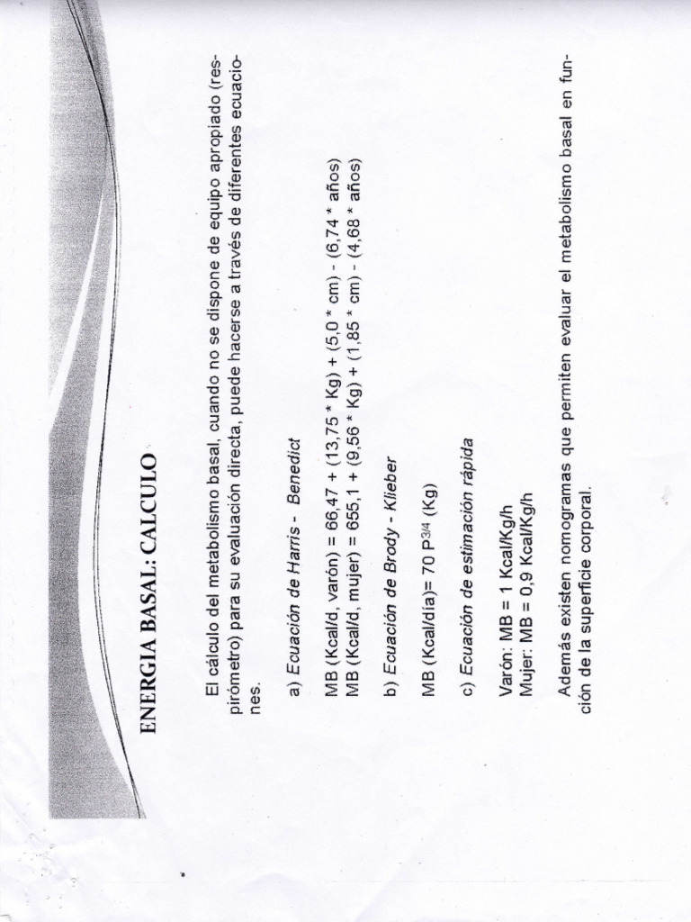 GMB - Tabla Actividad | PDF