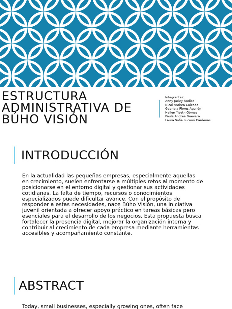 Estructura Administrativa de Búho Visión | PDF | Business | Negocios ...