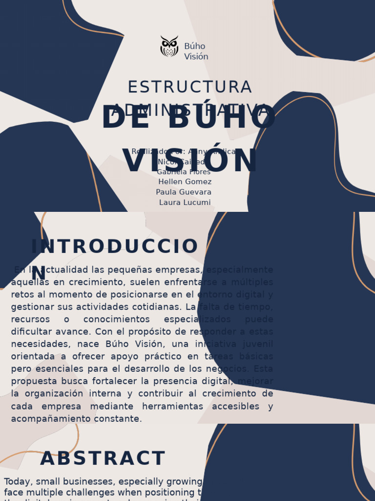 Estructura Administrativa Búho Visión | PDF | Business | Diseño