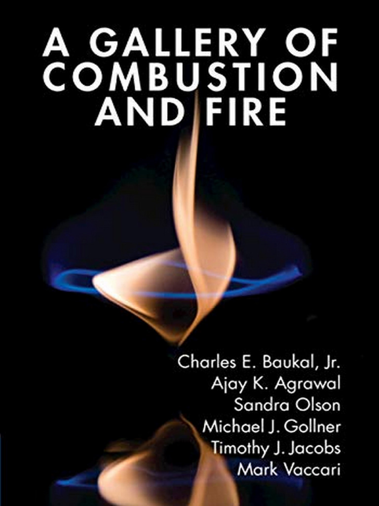 A Gallery of Combustion and Fire - Charles Baukal Jr. | PDF | Combustion | Fires