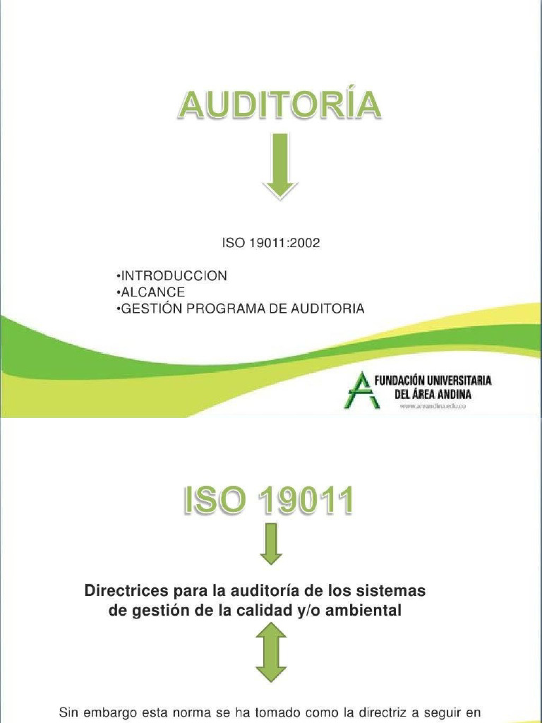 Anexo5 ISO 19011 | PDF