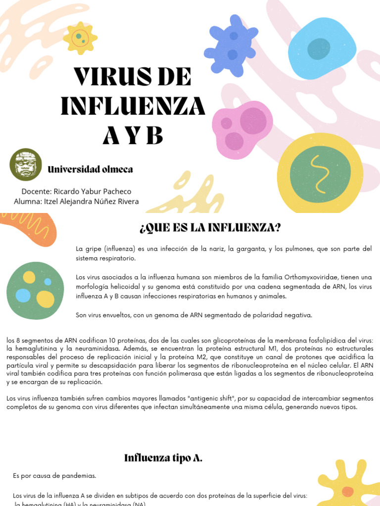Diferencias entre Influenza A y B | PDF | Influenza | Virus de la ...