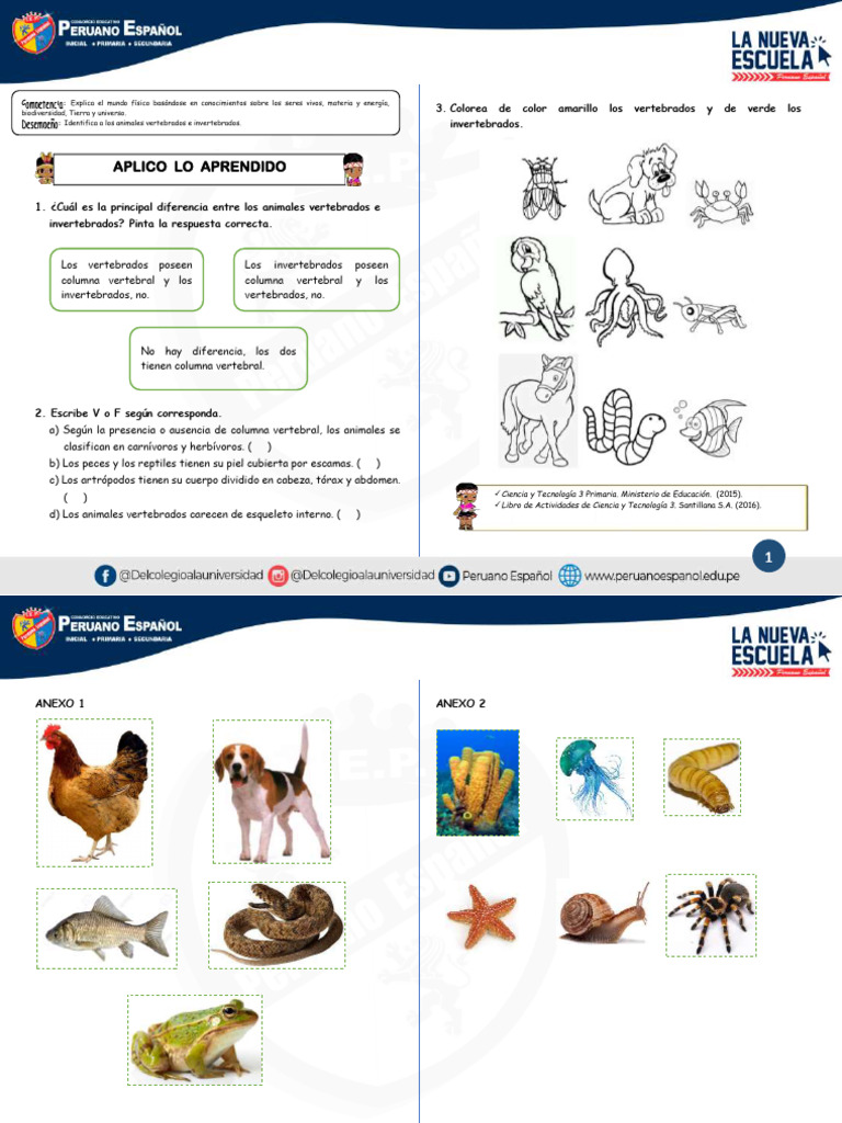 Ciencia y Tecnología N°2-Animales Vertebrados e Invertebrados | PDF