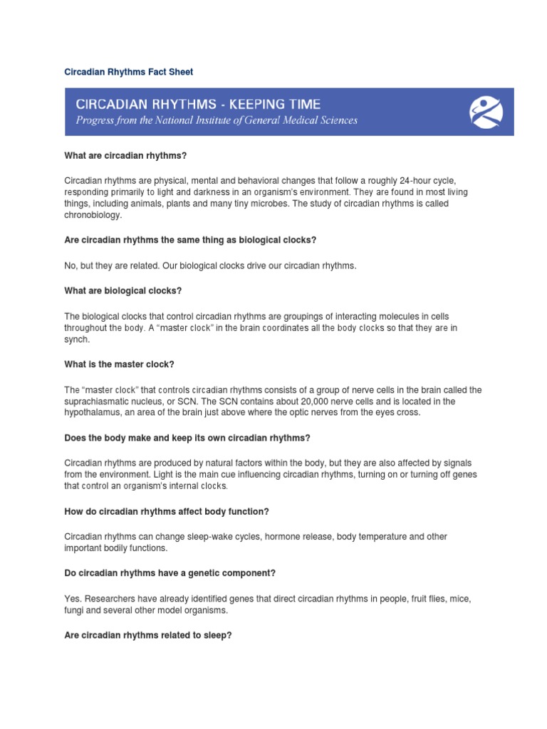 Circadian Rhythms | PDF | Circadian Rhythm | Clock