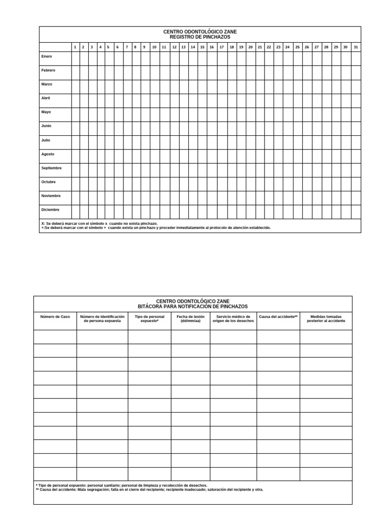 Registro de Pinchazos | PDF