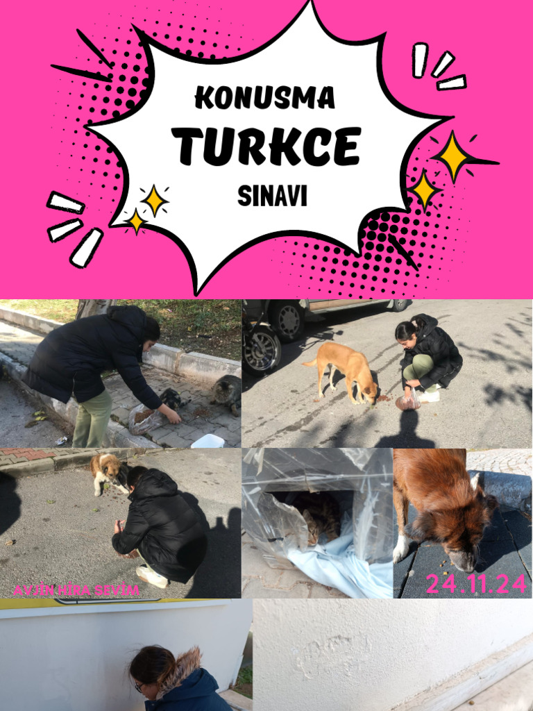 Konusma: Turkce | PDF