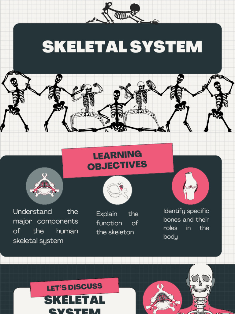 The Human Skeletal System Science Educational Presentation in Dark Gray ...