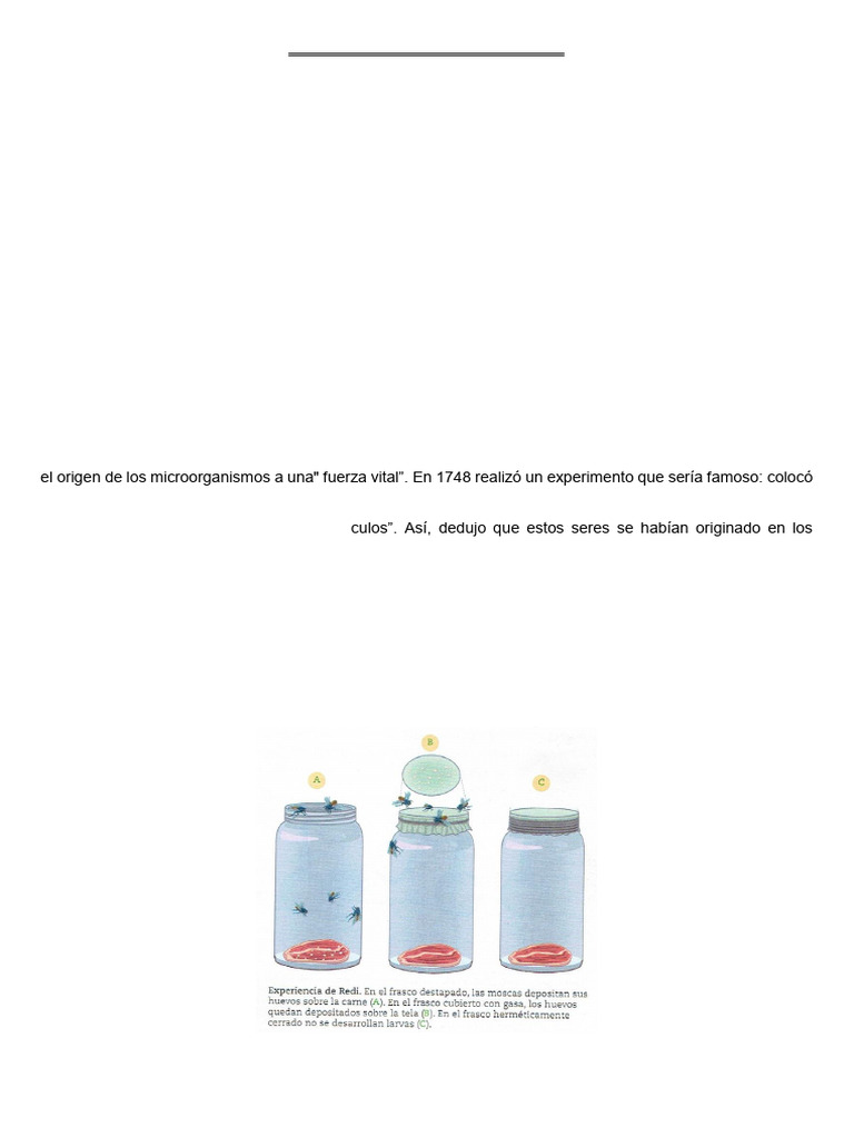 TPN°2 Cs Bio II - T Del Origen | PDF | Biología | Naturaleza