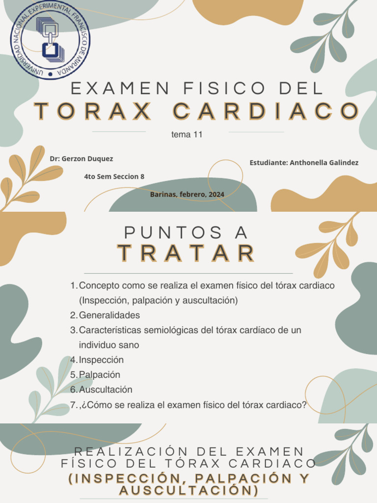 Imp Tema 11 | PDF | Corazón | Sistema cardiovascular