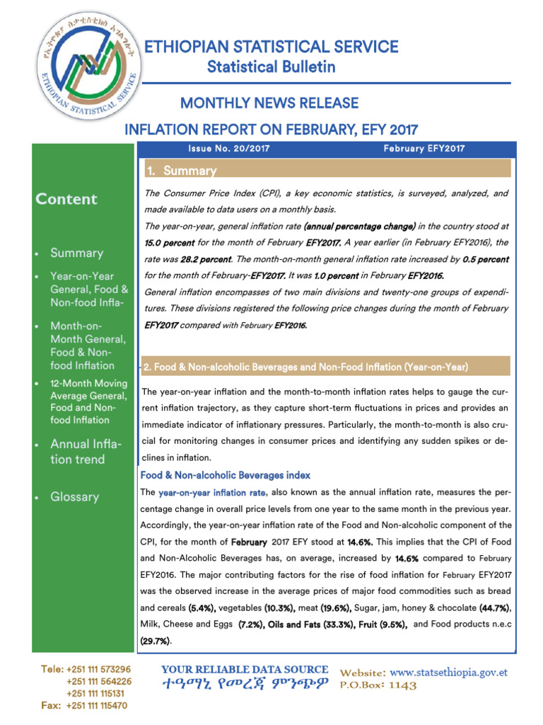 5463inflation Report Feb 2017 Efy 1 | PDF | Inflation | Consumer Price Index