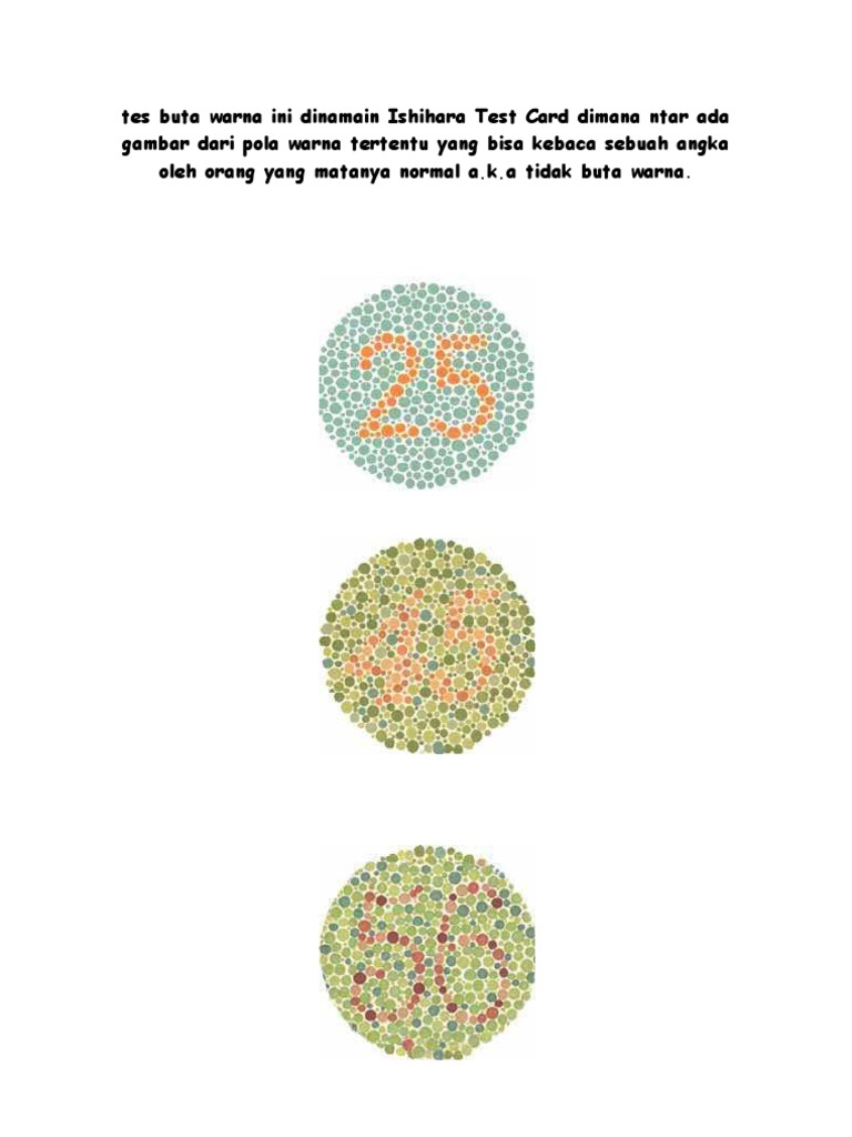 Tes Buta Warna | PDF