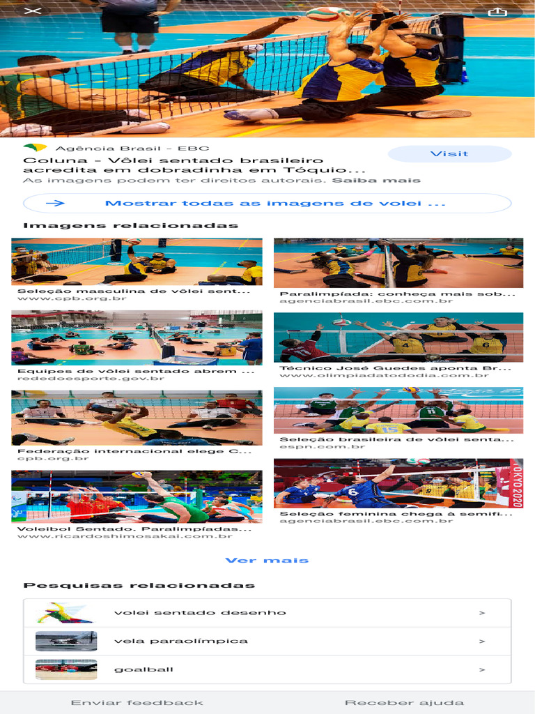 Volei Sentado - Pesquisa Google | PDF