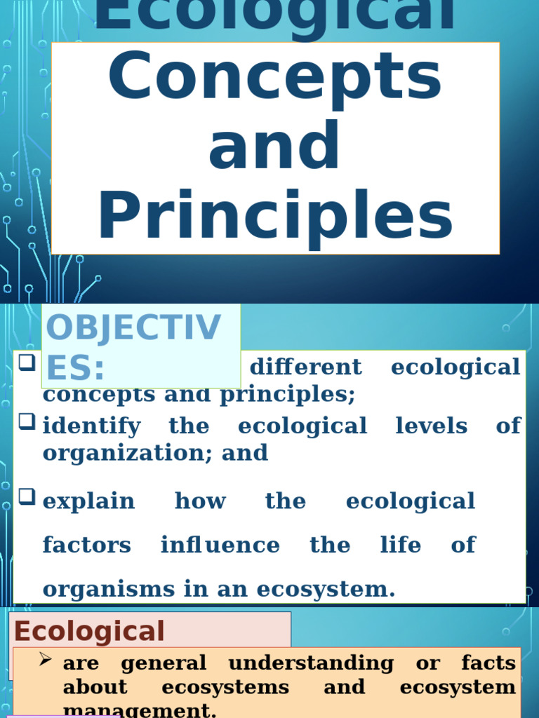 Q1 TOPIC 4 Ecological Concepts and Principles | PDF | Ecology | Ecosystem