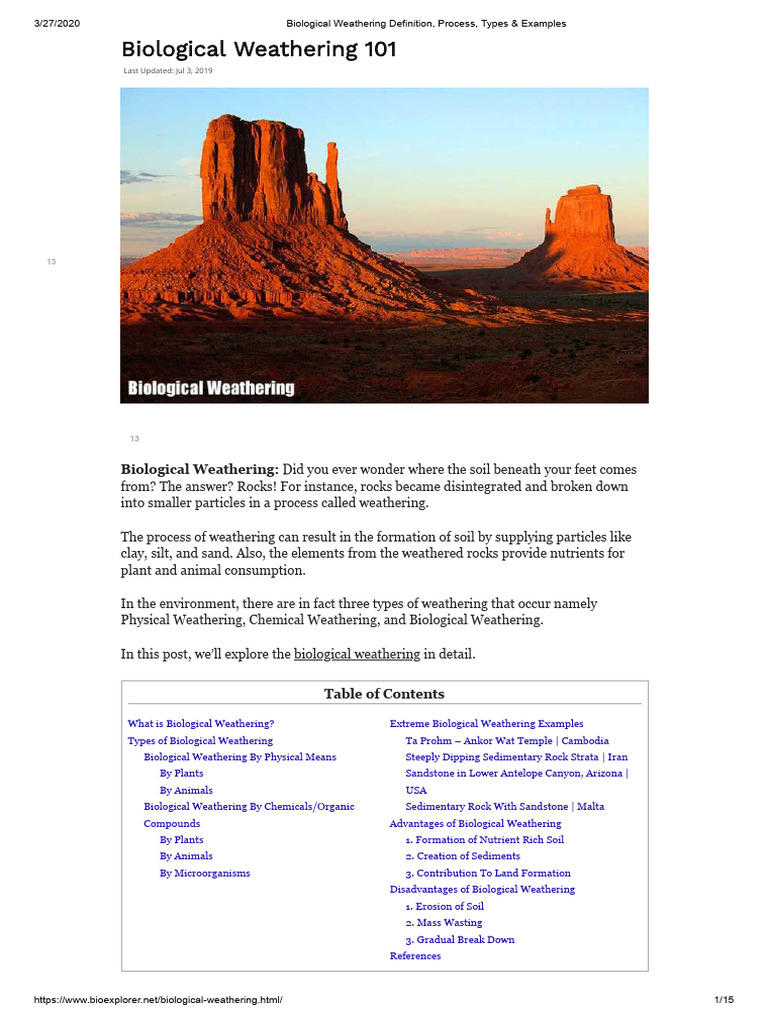 Biological Weathering | PDF | Weathering | Soil