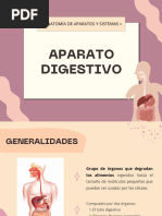 ESÒFAGO (Anatomía, Embriología, Histología y Fisiología) | PDF ...