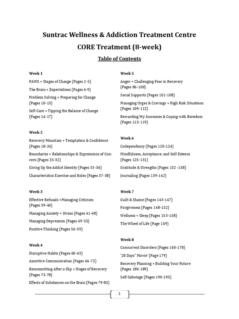 Core Treatment Program Workbook | PDF | Identity (Social Science ...