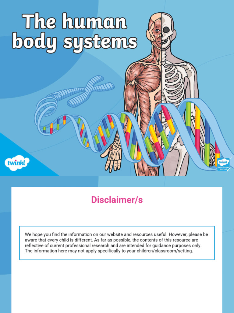 Ca SC 1703785982 The Different Body Systems Presentation - Ver - 1 ...