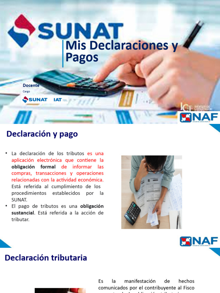 Guía de Declaraciones y Pagos SUNAT | PDF | Tarjeta de débito ...