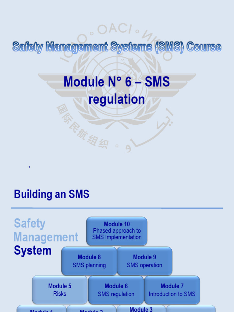 ICAO SMS Module #6 - SMS Regulation 2008-11 (E) | PDF | Safety | Risk