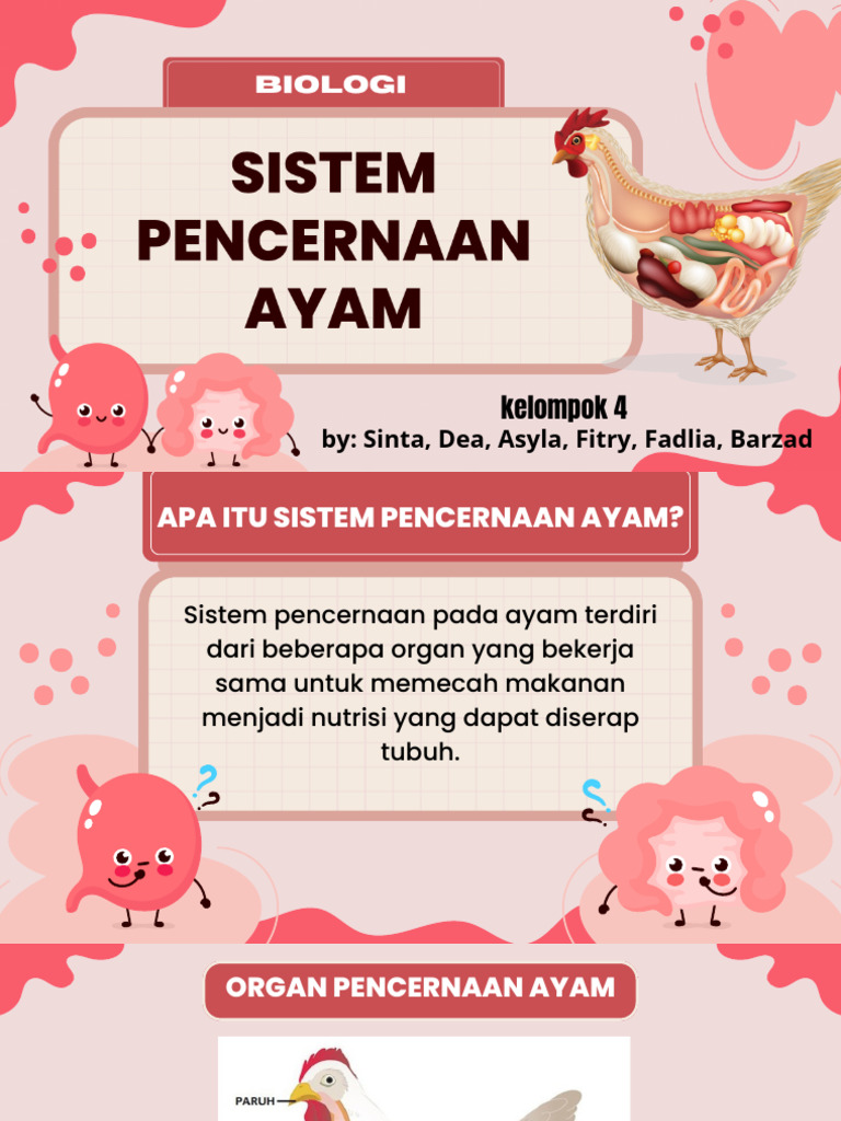 SISTEM PENCERNAAN AYAM KELOMPOK 4 BIOLOGI _20250119_220502_0000 | PDF