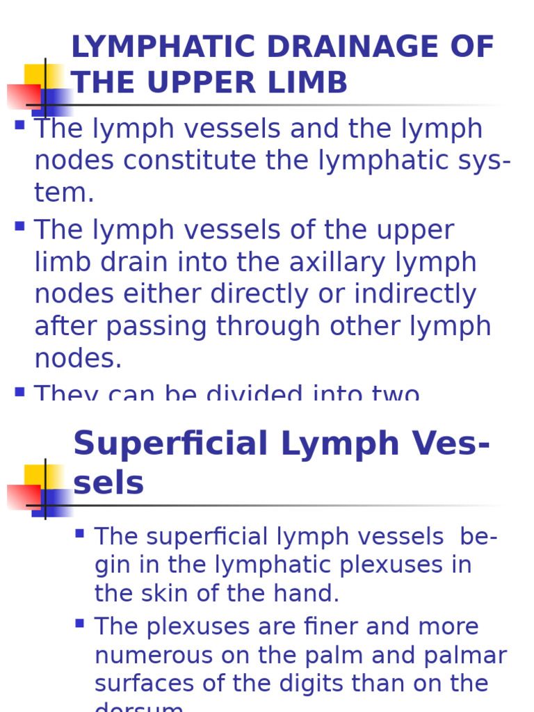 Upper Limb Lymphatic Drainage Overview | PDF | Arm | Vein