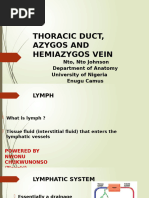 Understanding Batson's Plexus Anatomy | PDF | Vertebra | Vein