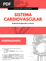 Anatomía del Corazón en Caballos | PDF | Corazón | Ventrículo (corazón)