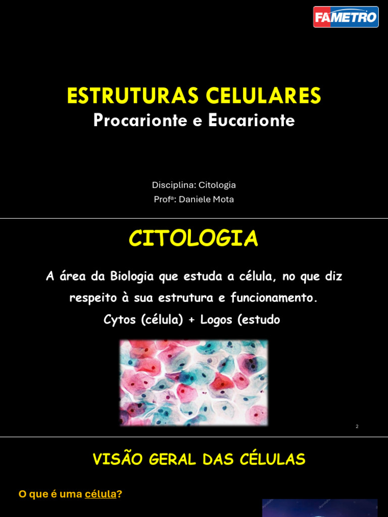 AULA 4 - Organelas Das Células (Procarionte e Eucarionte) | PDF | Célula (Biologia) | Bactérias